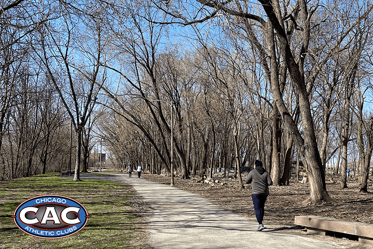 18 1/2 Best Paths and Running Trails in Chicago for 2025