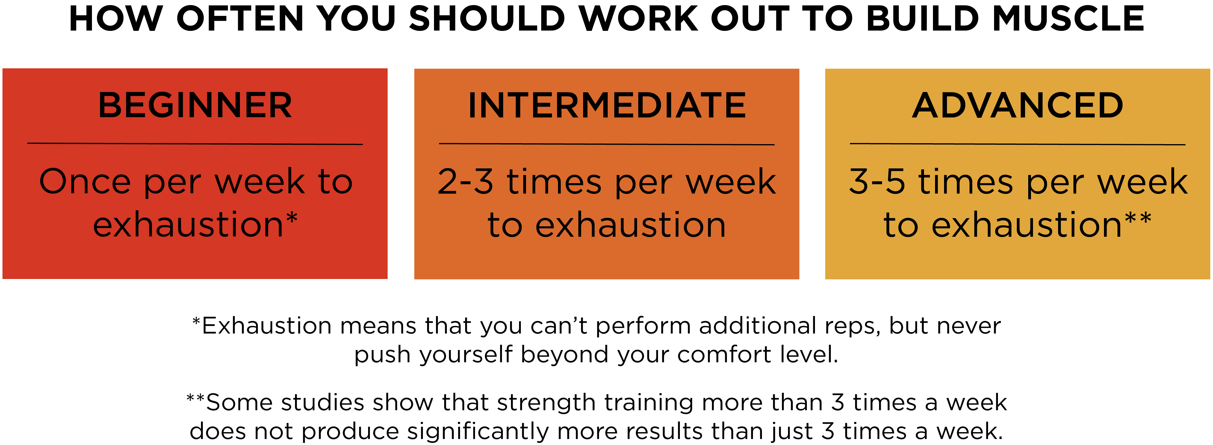 How Often Should You REALLY Go to The Gym In 2024?