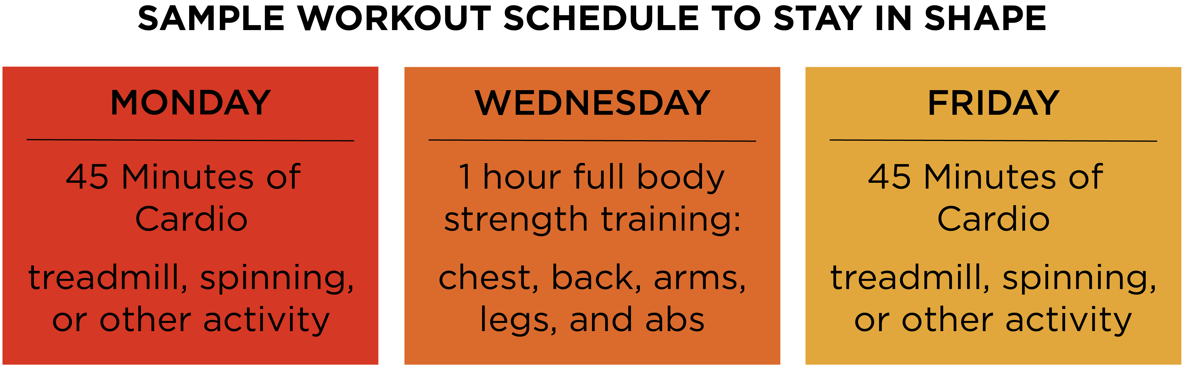 How Often Should You REALLY Go to The Gym In 2024?